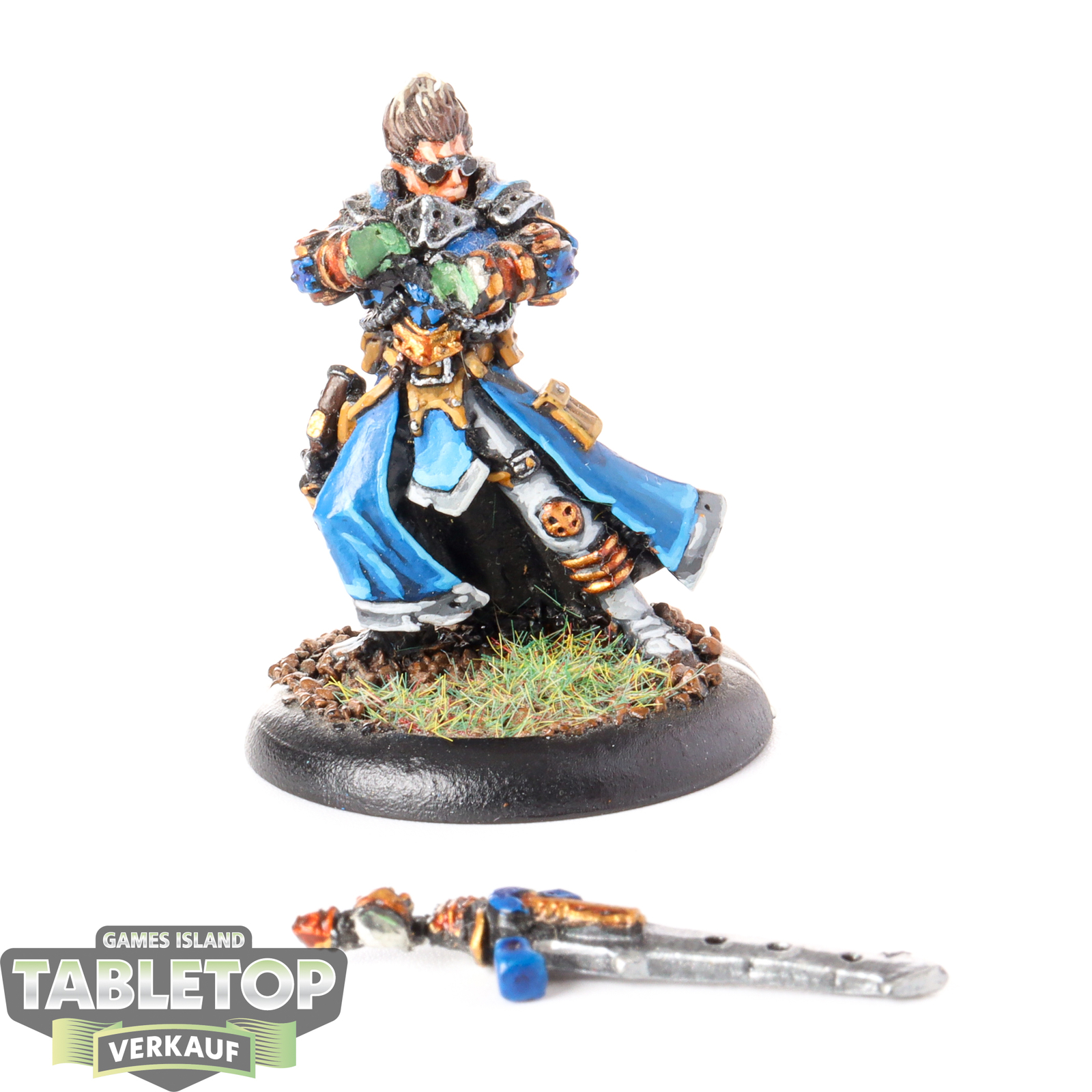 Cygnar - Commander Coleman Stryker - bemalt | eBay.de