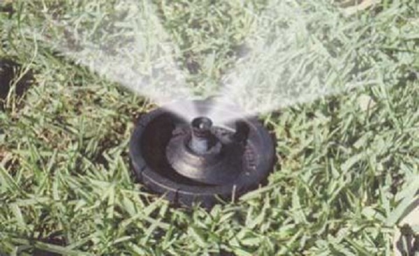 Set of 12 DIY Sprinkler Crown Guard Protectors, HDPE Plastic, 8"Dia ...