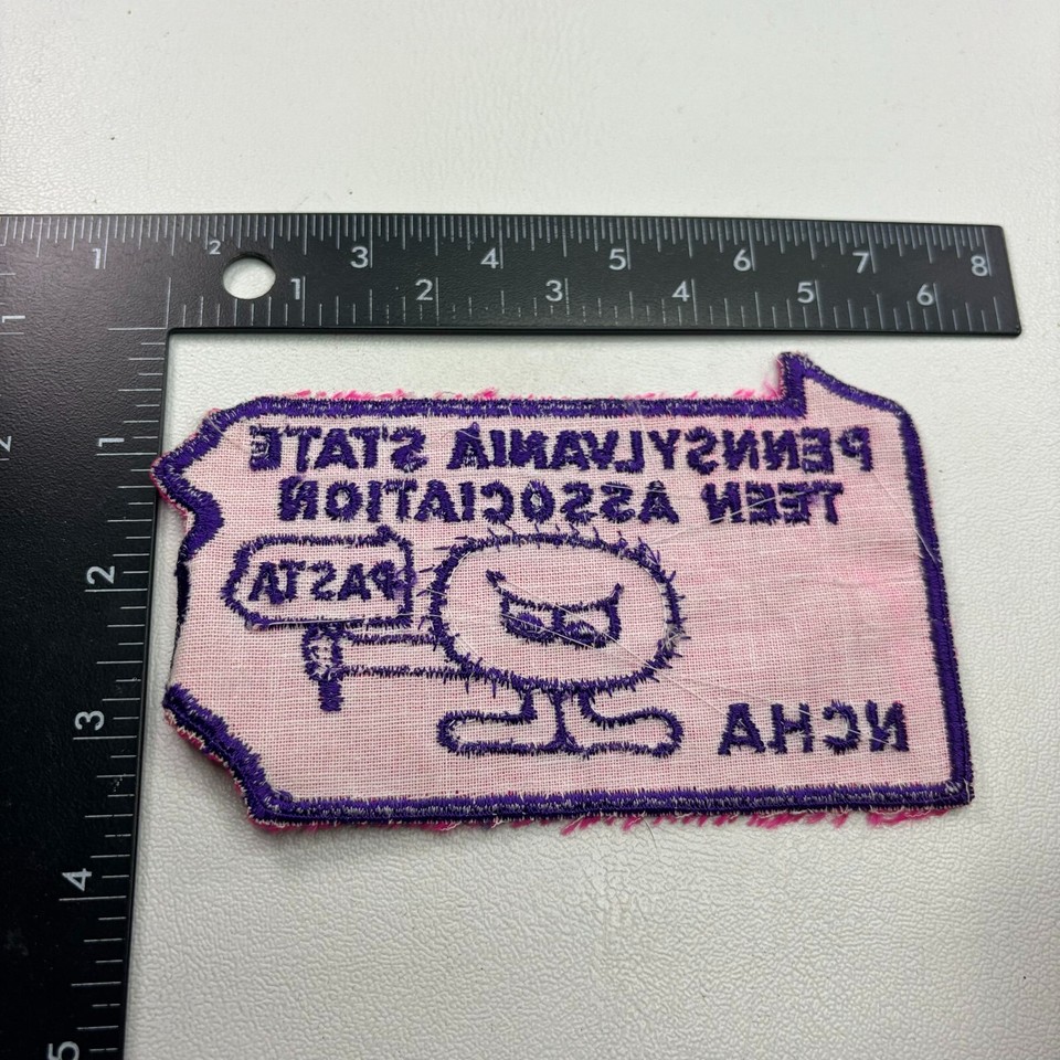 VTG National Campers Hikers NCHA Pennsylvania State Teen Assn PASTA ...