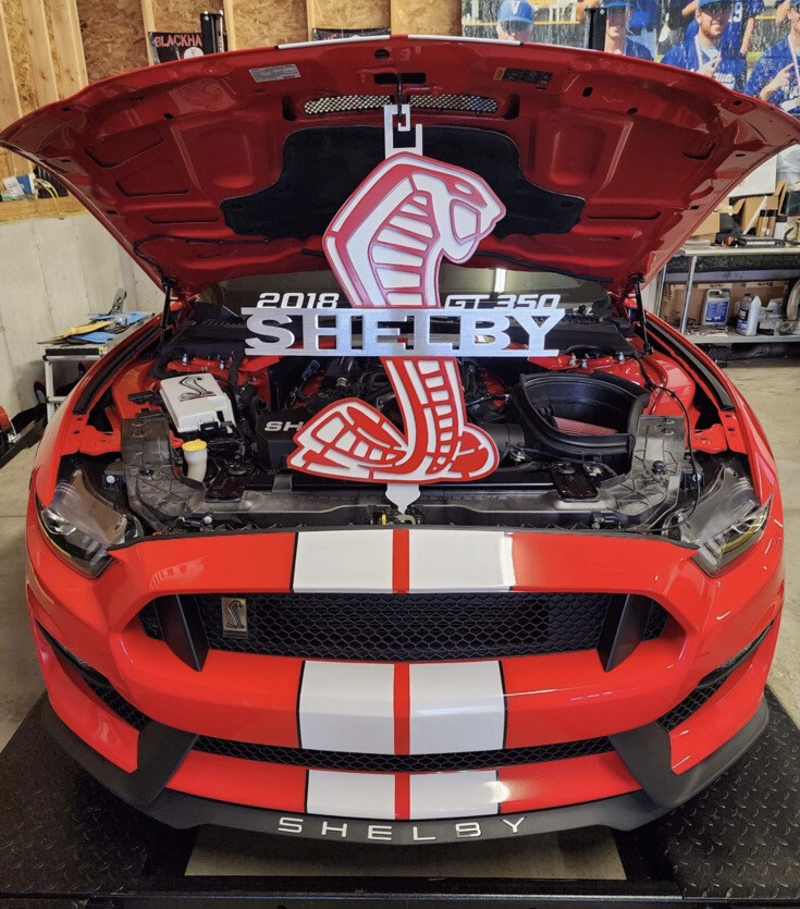 24x24” 2020 Heritage Edition Powder Coated Custom Shelby Gt350 Mustang ...