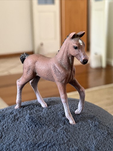 Schleich Horse Club 2018 Hanoverian Foal 13818 Brand New | eBay Australia