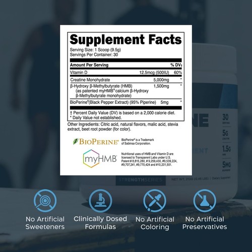 Transparent Labs Creatine HMB - Creatine Monohydrate Powder with HMB ...