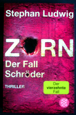 Stephan Ludwig - Zorn 14 - Der Fall Schröder - Thriller - TB | eBay.de