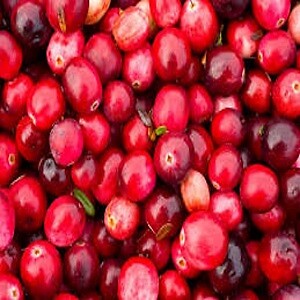 fatcranberry | eBay Stores