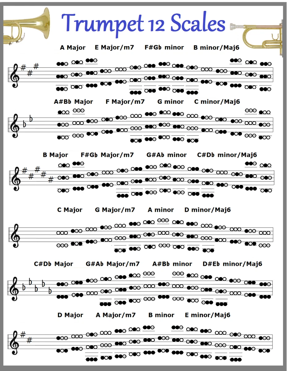 Trumpet Notes Scale