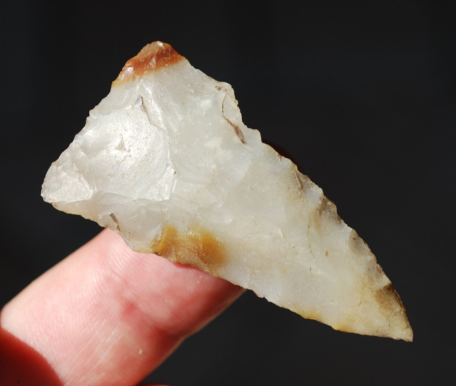 GLOWING 2"RED EARED TAYLOR FLORIDA, GA ARROWHEAD Authentic Indian ...