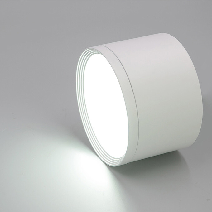 LED Ceiling Lamp Acrylic Downlight Fixture Dimmable/N Anti-fog Light ...