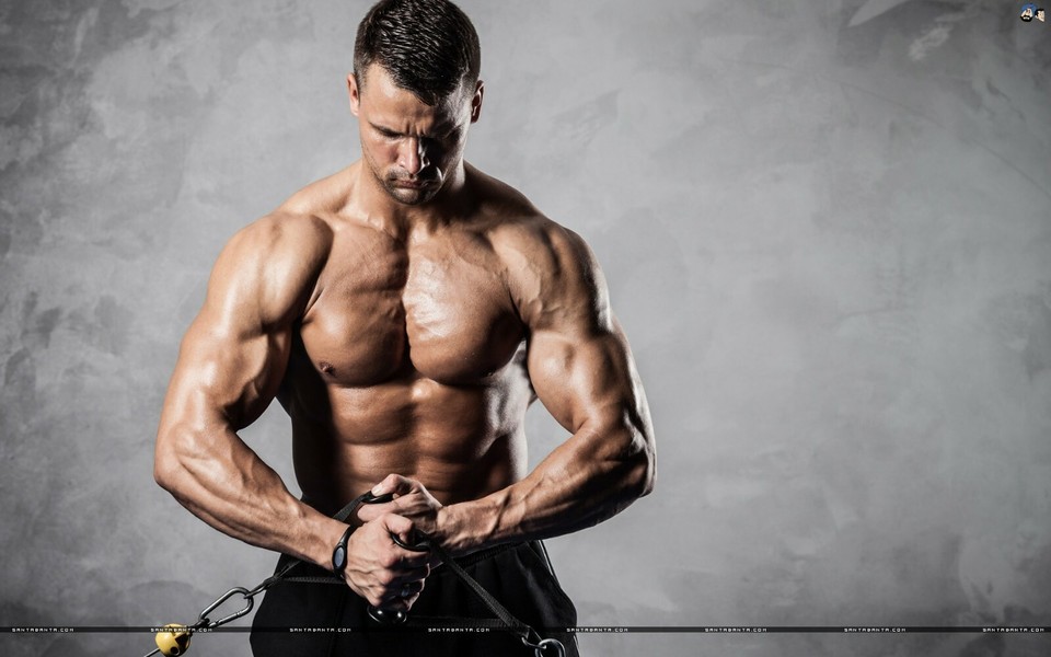 bcaa supplement - BCAA 3000mg 1 Bottle - muscle recovery tablets 120 ...