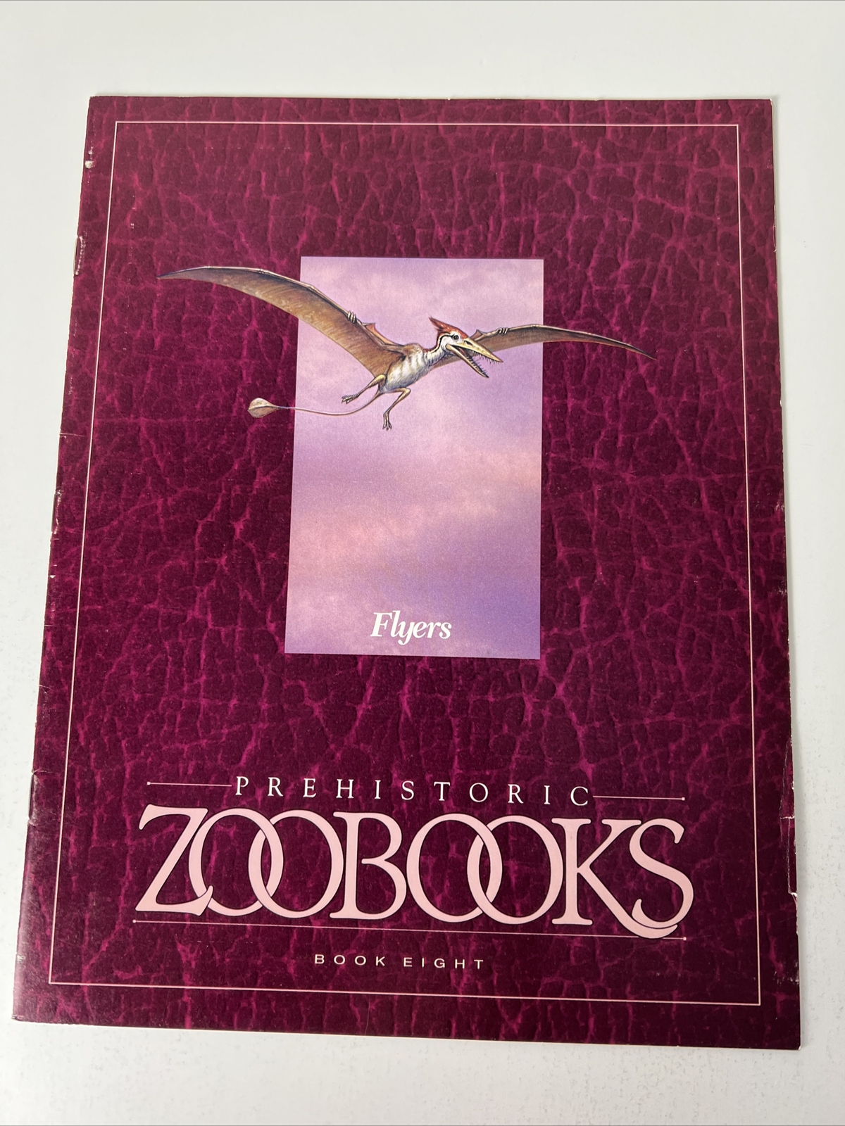 LOT of 11 ZOOBOOKS: Prehistoric, Dolphins, Family Activity Guide ...