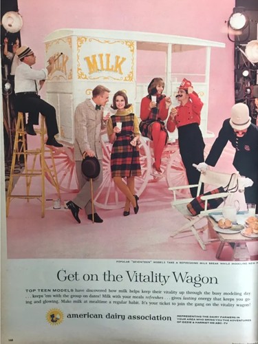 American Dairy Association, Full Page Vintage Print Ad, Magazine ...
