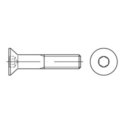 Senkschrauben ISO 10642 010.9 M 8x60 flZnL/nc/x/x/480h/C flZn (200 Stück) 4051427291867 | eBay.de