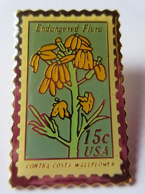 1979 15c SC #1785 Contra Costa Wall Flower Stamp Pin Pinback NEW | eBay