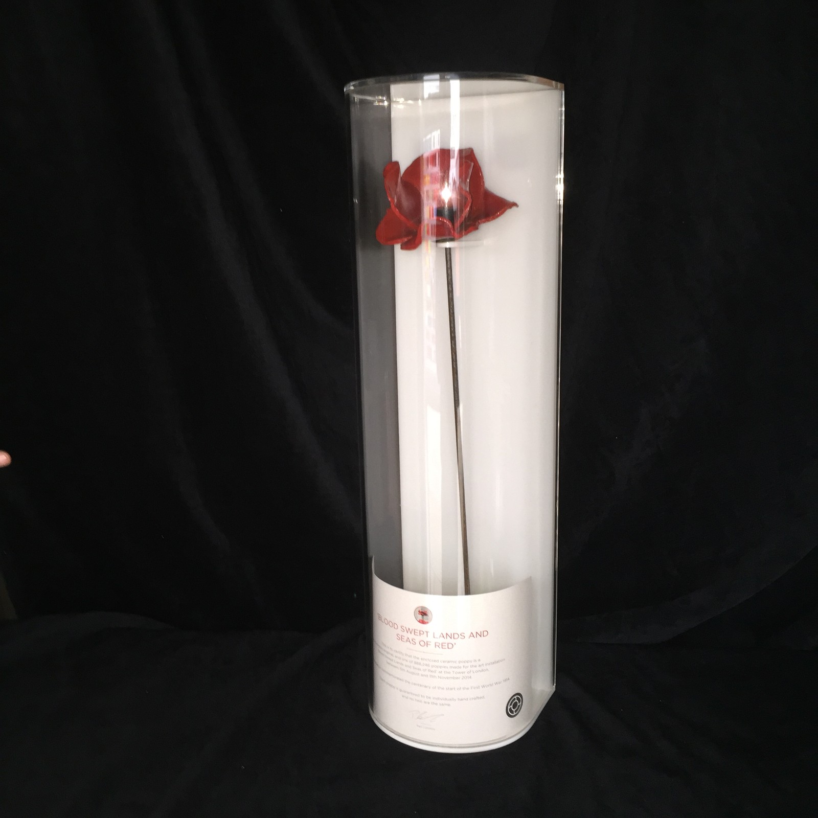 TOWER OF LONDON POPPY DISPLAY CASE ..WALLMOUNTED OR FREE STANDING WHITE ...