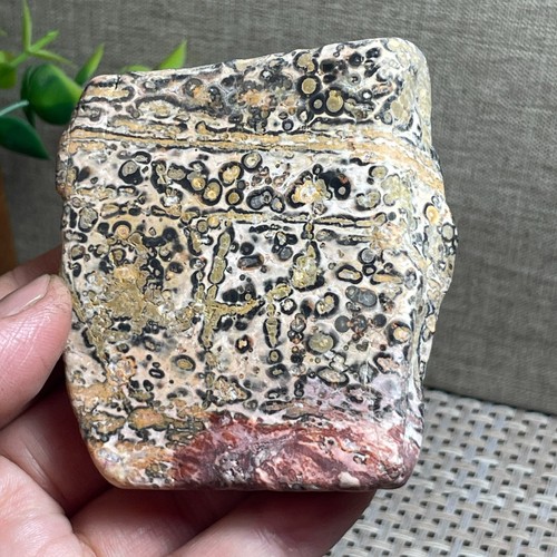 Natural Leopard Jasper cabbing Rough Mineral Slab lapidary gem stone ...