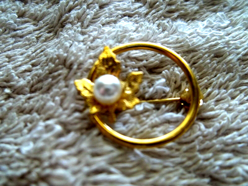 FINGERHUT FASHIONS PIN, Gold Tone Metal Circle w/Maple Leaf & Faux ...