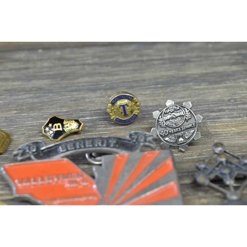 Old Brooch Pin Lot Random Toastmasters 4H FFA Other | eBay