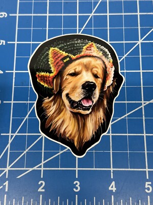 Rare Dirty Ghetto Kids Skateboard Sticker Authentic Tracked Shipping ...