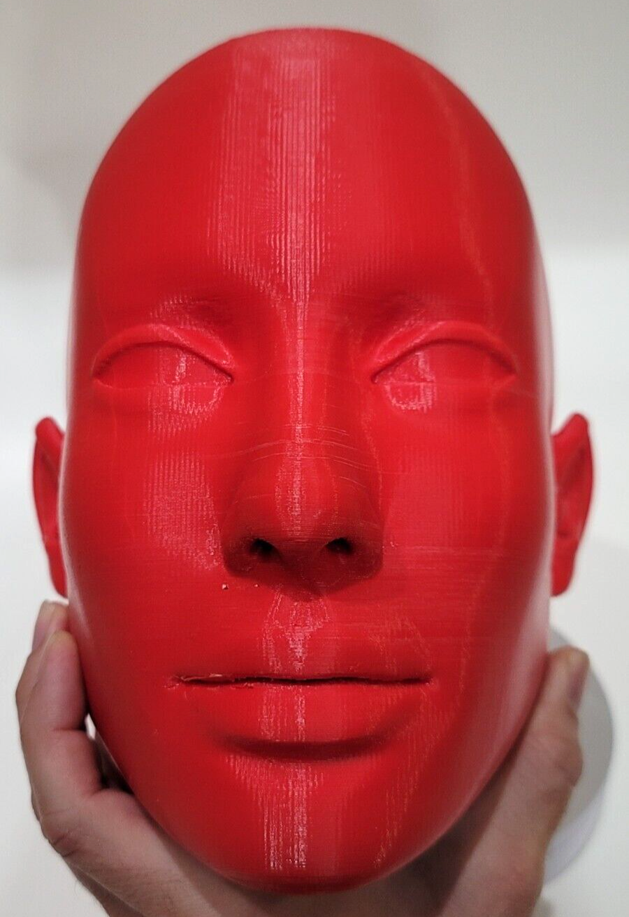 3D Printed Mannequin Head Realistic Female Beautiful Plastic Woman ...