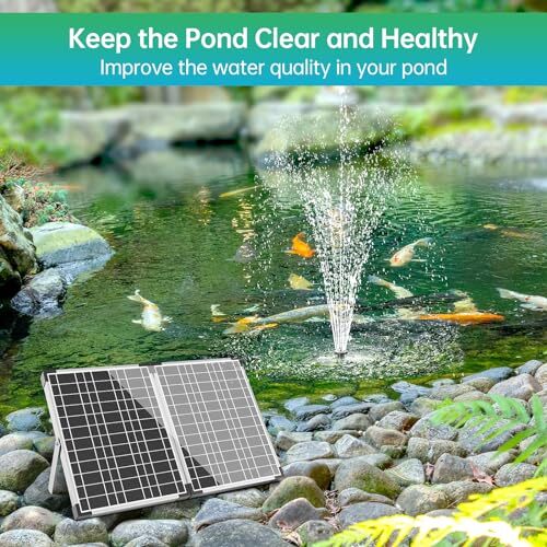 Solar Pond Filter with Water Pump Solar Fountain Pump with Pond Filter ...