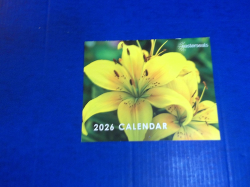 'EASTER SEALS' 2026 WALL CALENDAR | eBay