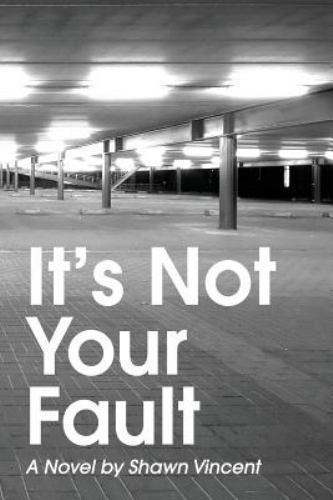 It's Not Your Fault by Shawn Vincent (2014, Trade Paperback) for sale ...