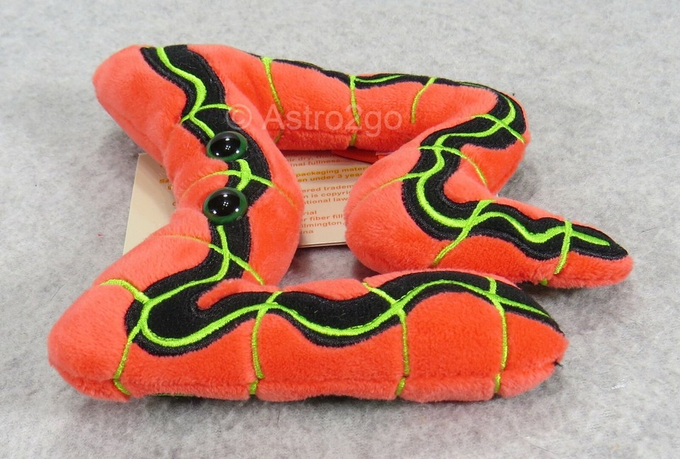 GIANT MICROBES-IRRITABLE BOWEL SYNDROME-Stuffed Plush Colon IBS Chronic ...