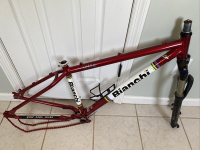 Bicycle Frames - Bianchi Frame - Nelo's Cycles