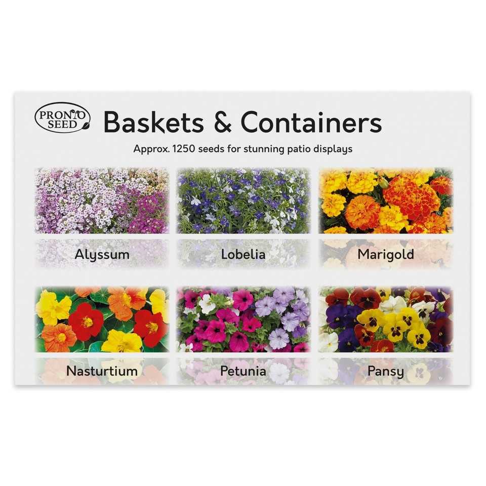 Flower Seeds UK | 24 Varieties | 3100 Seeds | Gardening Gifts Women ...