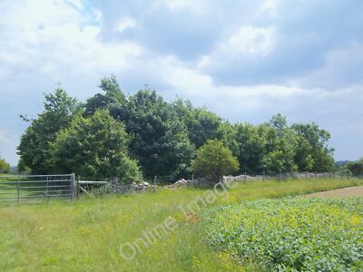 Photo 6x4 Small plantation Hawling This small patch of recently planted ...