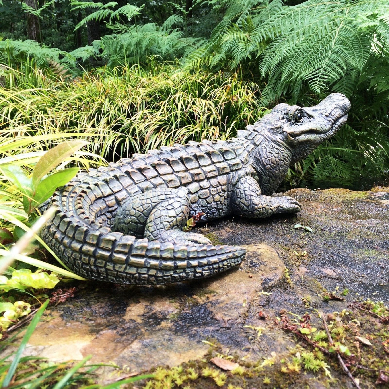 Realistic Alligator Gator Sculpture Statue Lifelike Yard Pool Garden ...
