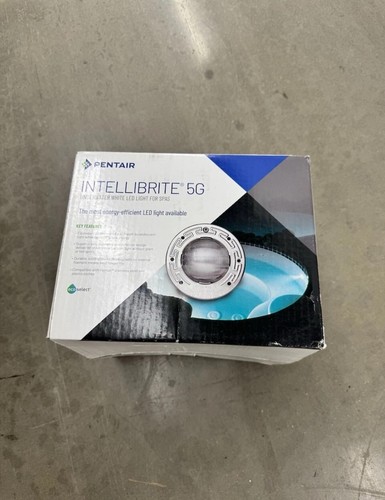 Pentair Intellibrite 5g White Light 100' Cord - 640152 | eBay