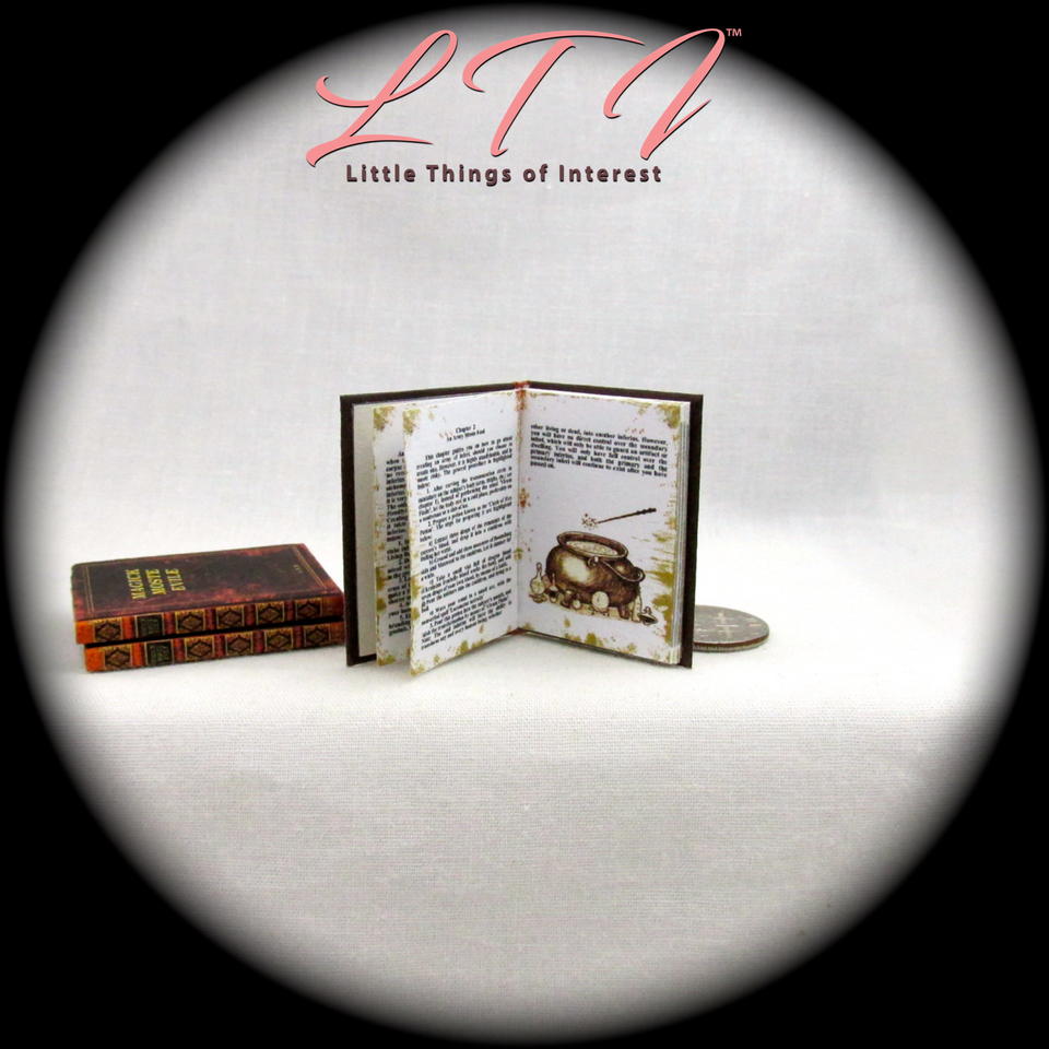 1:6 Scale MAGICK MOSTE EVILE Illustrated Readable Spell Book Harry Potter | eBay
