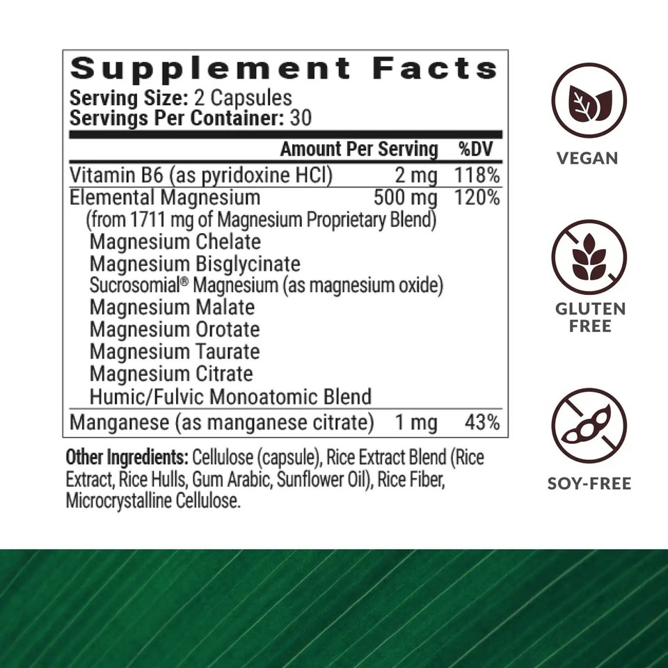 Bioptimizers Magnesium Breakthrough Supplement - Version 4.0 - 60 ...