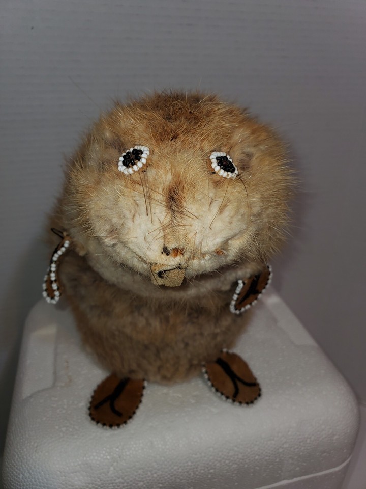 Rare Native North American handmade beaded stuffed beaver leather real ...