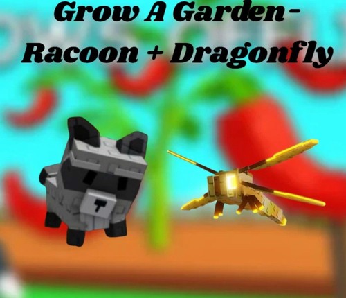 Roblox Grow A Garden Dragon Fly And Raccoon Bundle | eBay UK