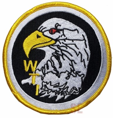 Marine Corps Patch WTI Weapons and Tactics Instructor Eagle Hook Loop ...
