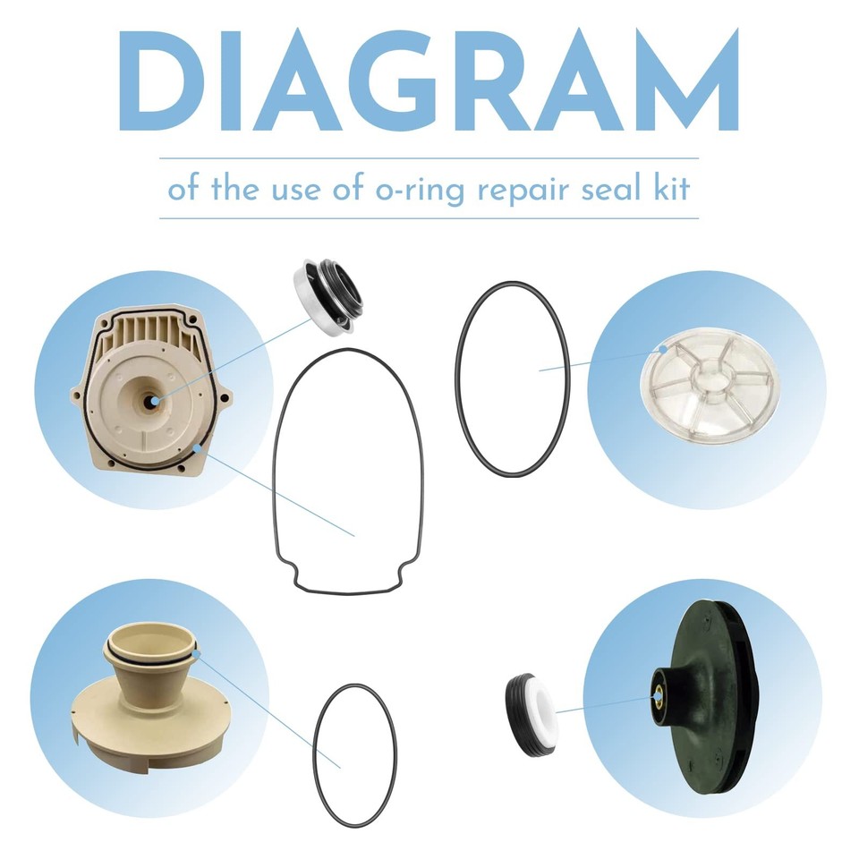 O-Ring Rebuild Repair Kit for Pentair WhisperFlo/IntelliFlo Pool Pump ...