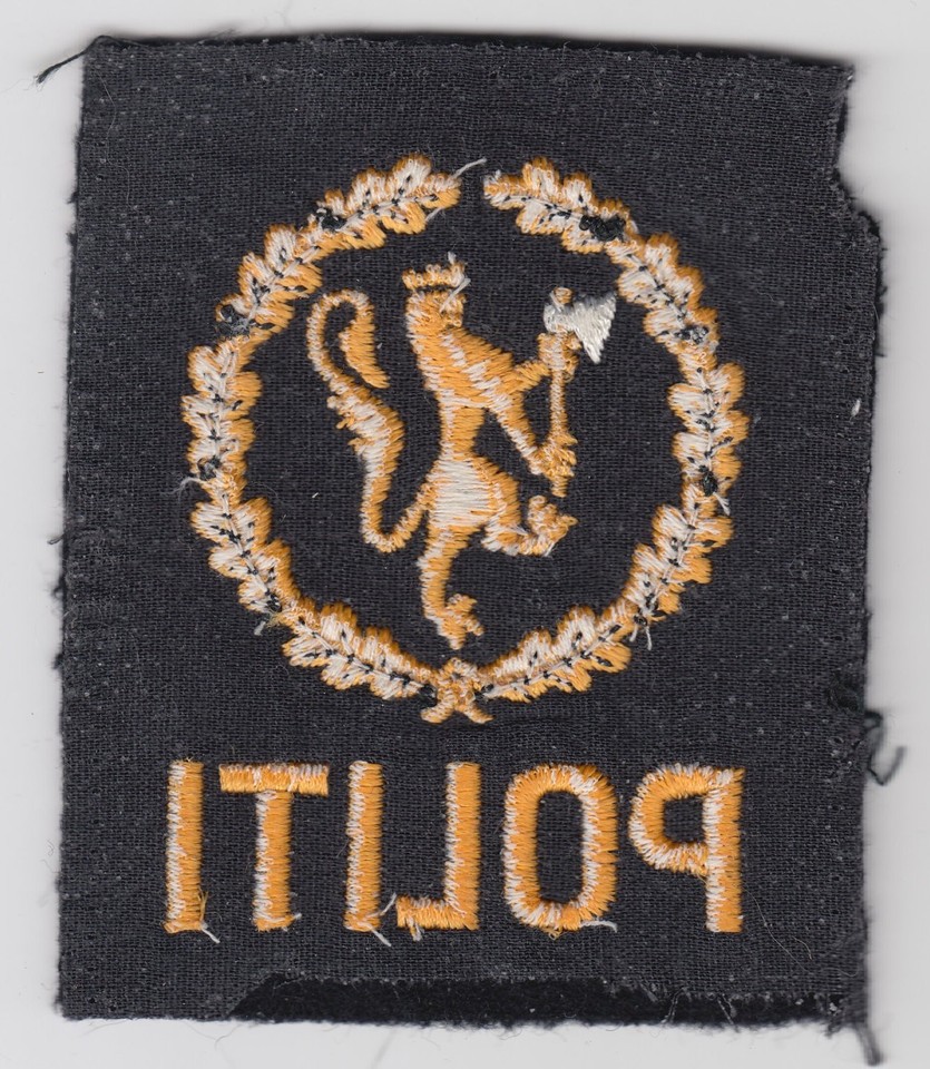 Vintage Norwegian Police Politi Arm Sleeve Patch Insignia Norway Lion ...