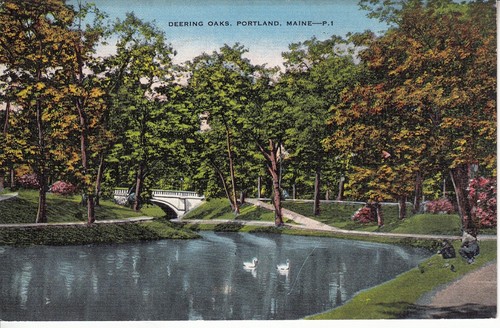 Portland, Maine - Deering Oaks - Vintage Post Card | eBay