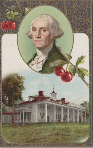 George Washington Mount Vernon Cherry Tree Branches c1910 postcard KQ6 ...