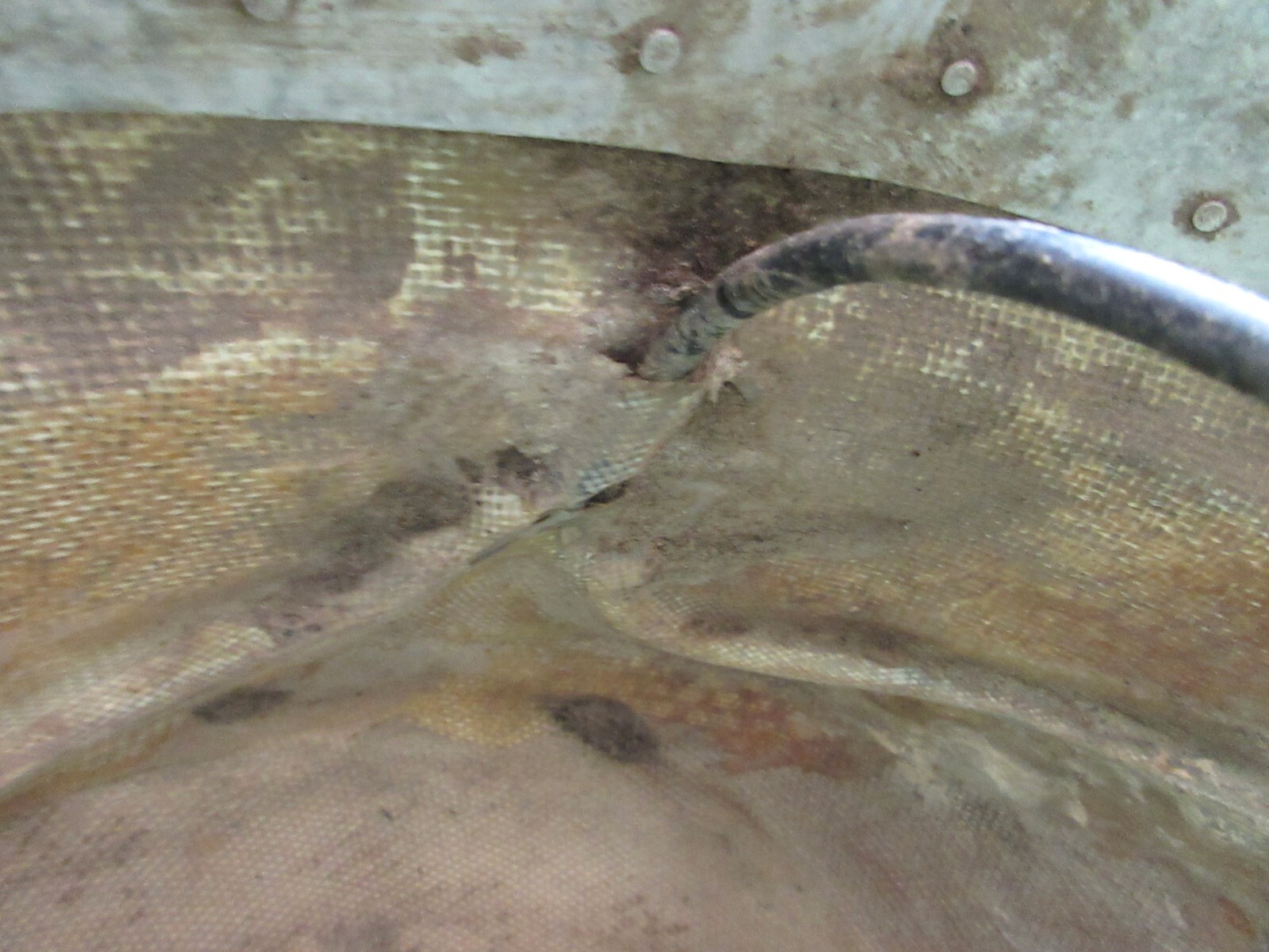 Cessna 310 / 310F Norton Radome Nose Cone Assy w/ Vent (1123-754) | eBay