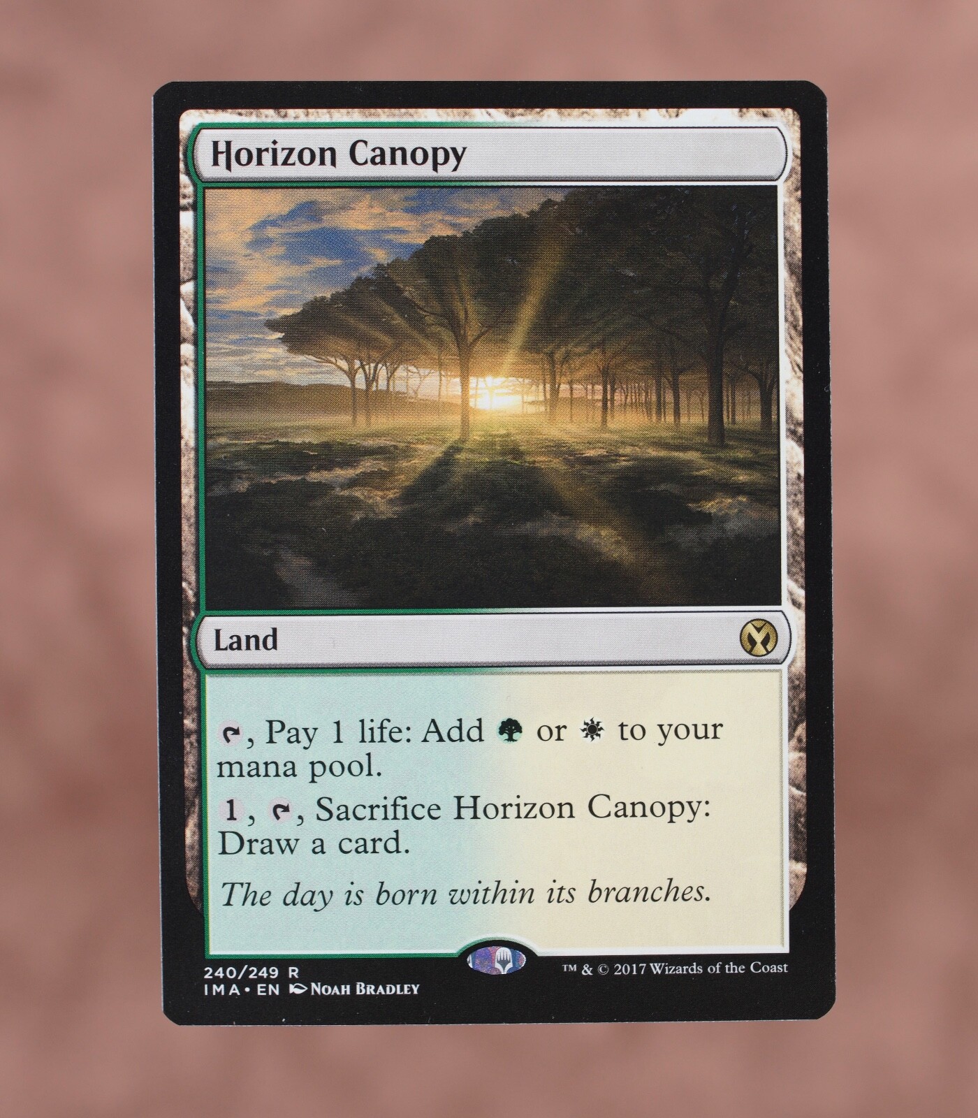 MTG :: Horizon Canopy :: IMA #240 | eBay