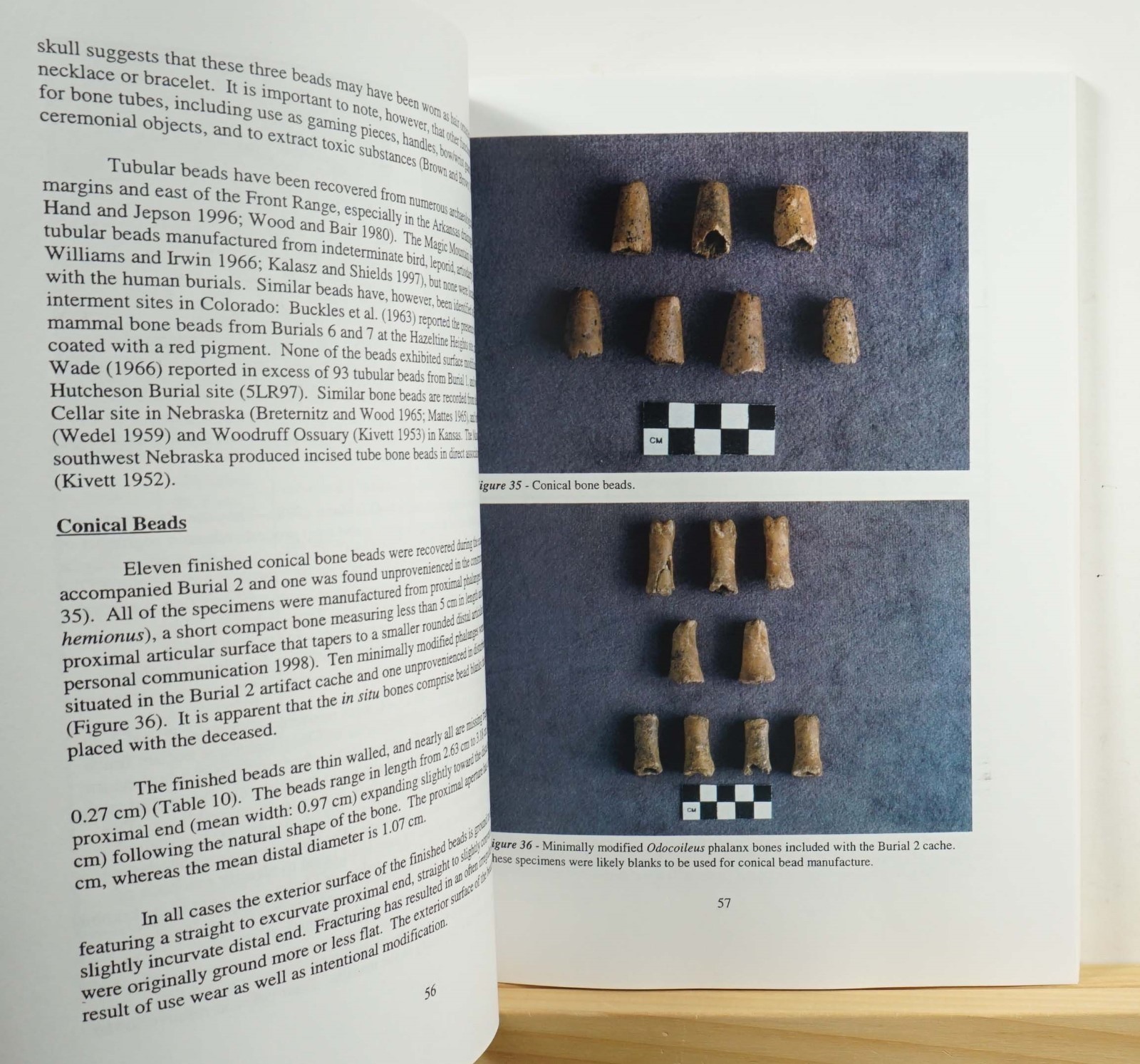 Excavation of Two Human Burials at the Lena Gulch Site Jefferson County ...