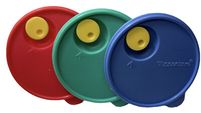 Mini Version Tupperware Magnet VTG MAGNET Tupperware Lids | eBay