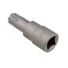 ABN | Torx Plus 55 TP55 Torx Socket with 3/8” Inch Square Drive | eBay