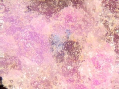 WESSELSITE in SUGILITE - Type Locality - Wessels Mine, Kalahari, SOUTH ...