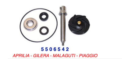 5506542 Kit Revisione Pompa Acqua Ø30 MALAGUTI SPIDERMAX 500 GT EU3