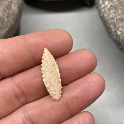 Neolithic & Paleolithic - Neolithic Serrated Blade Arrowheads