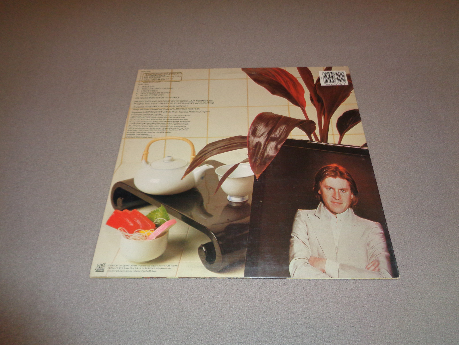 Alan Price ‎– Rising Sun - Jet Records 12" Vinyl LP - Promo - 1980 - NM ...