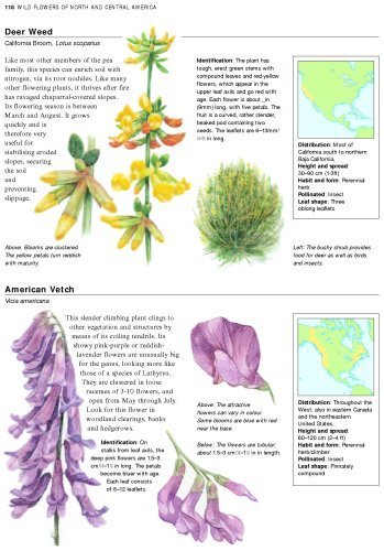 The Illustrated Encyclopedia of Wild Flowers and Flora of the Americas ...